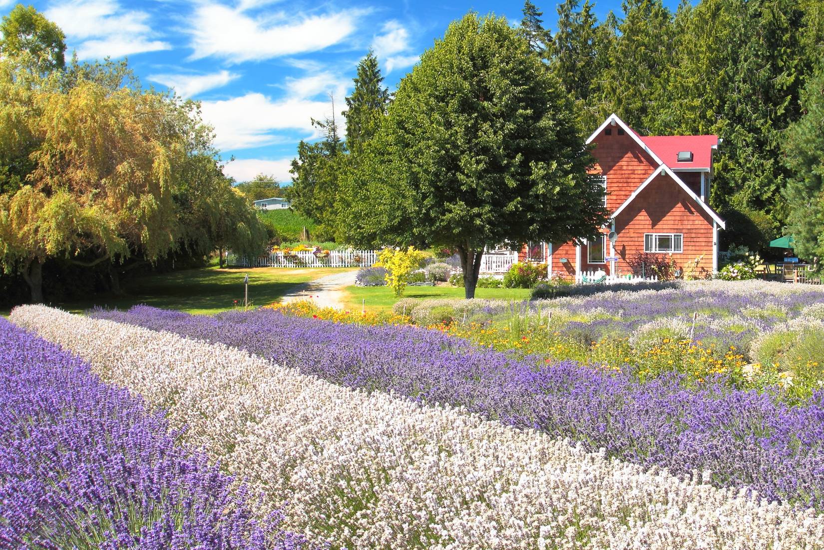 8 Top Towns To Retire In Washington