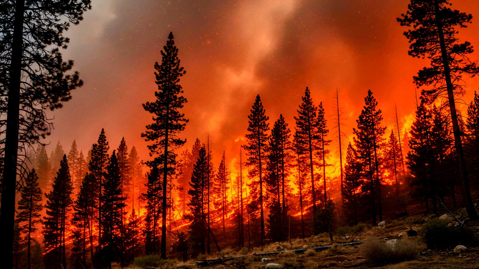 “Not Again”: Yet Another U.S. National Park Is Ablaze Due To Lightning ...