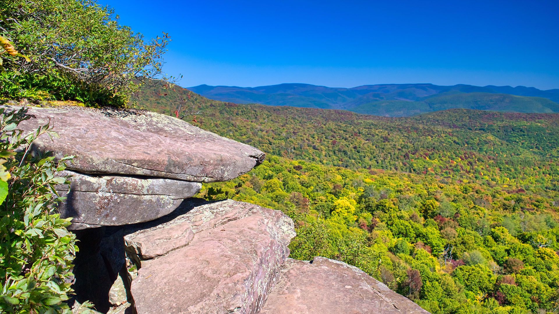 New York - Population | TheTravel