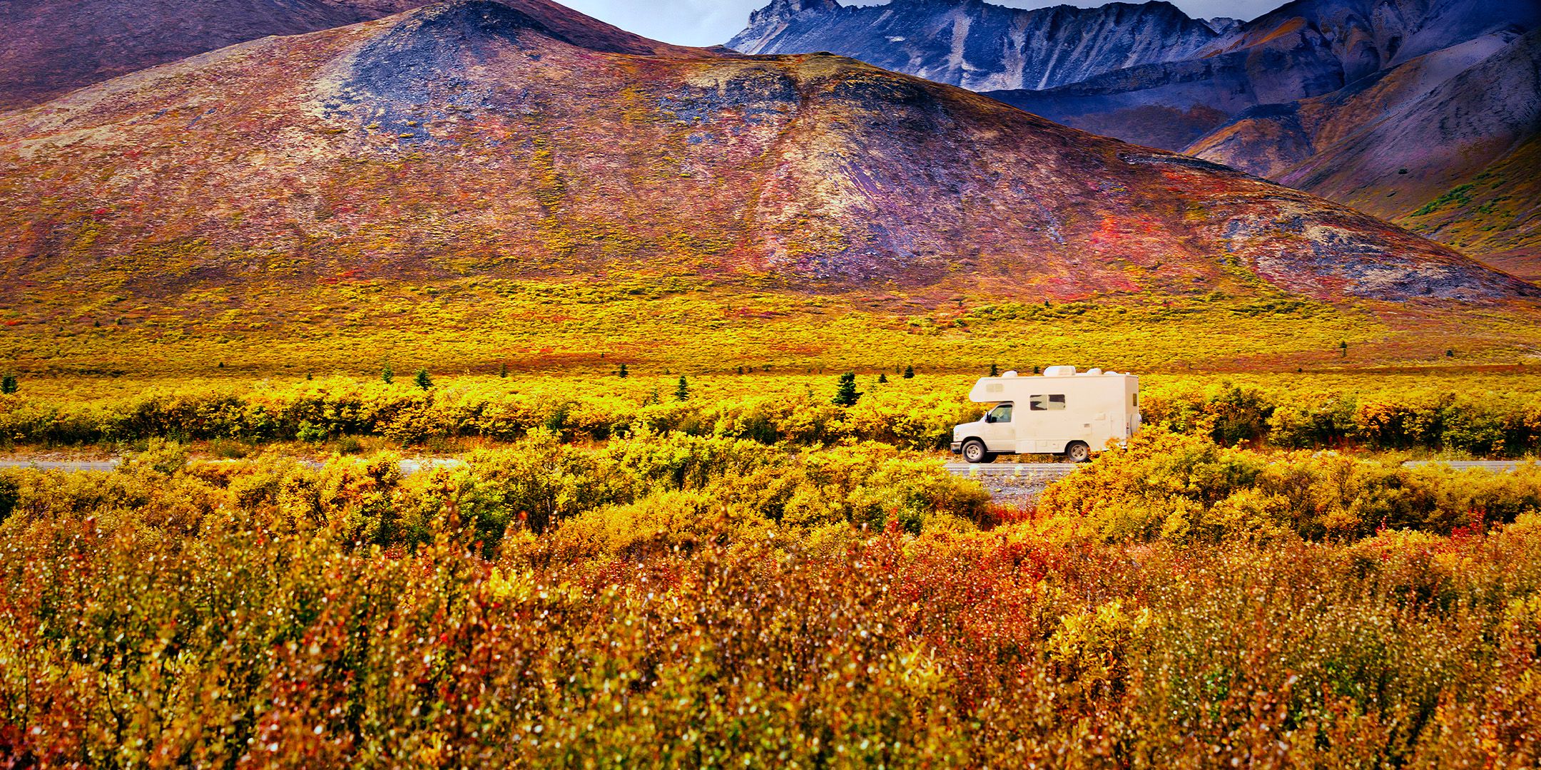 10 Best Pineapple Farms To Visit In Hawaii