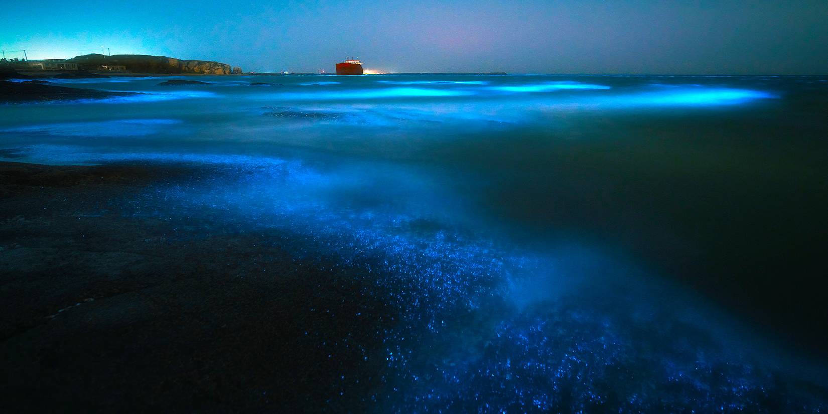 NASA Just Detected A Giant Glowing Ocean Creature On Satellite Images