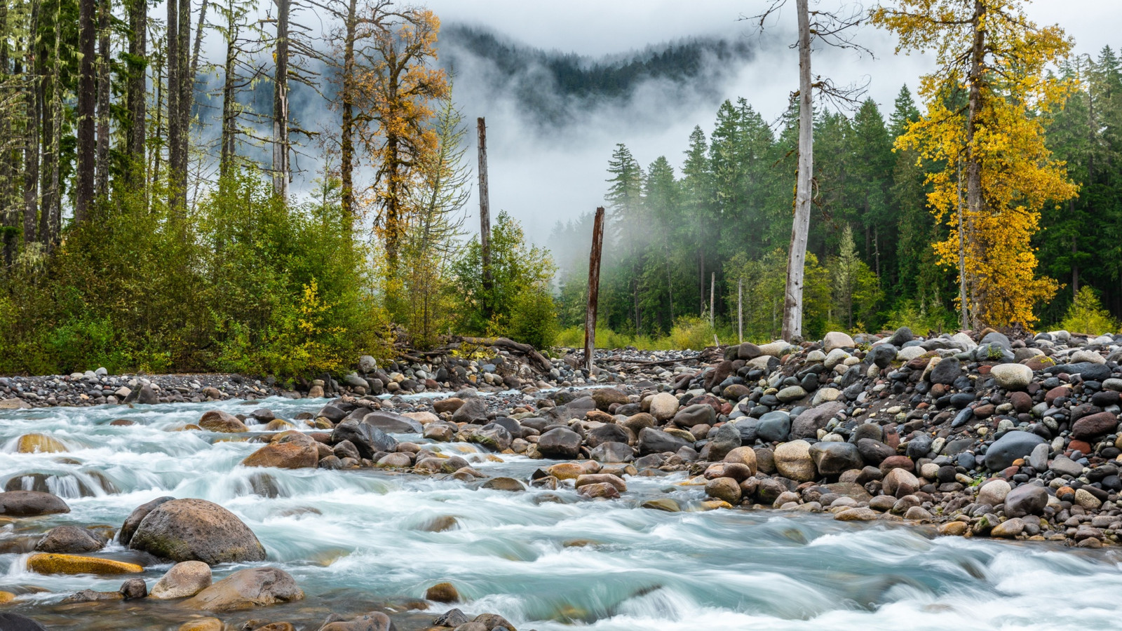 Mount Rainier Fully Disappears As National Park Service Bans Tourists ...