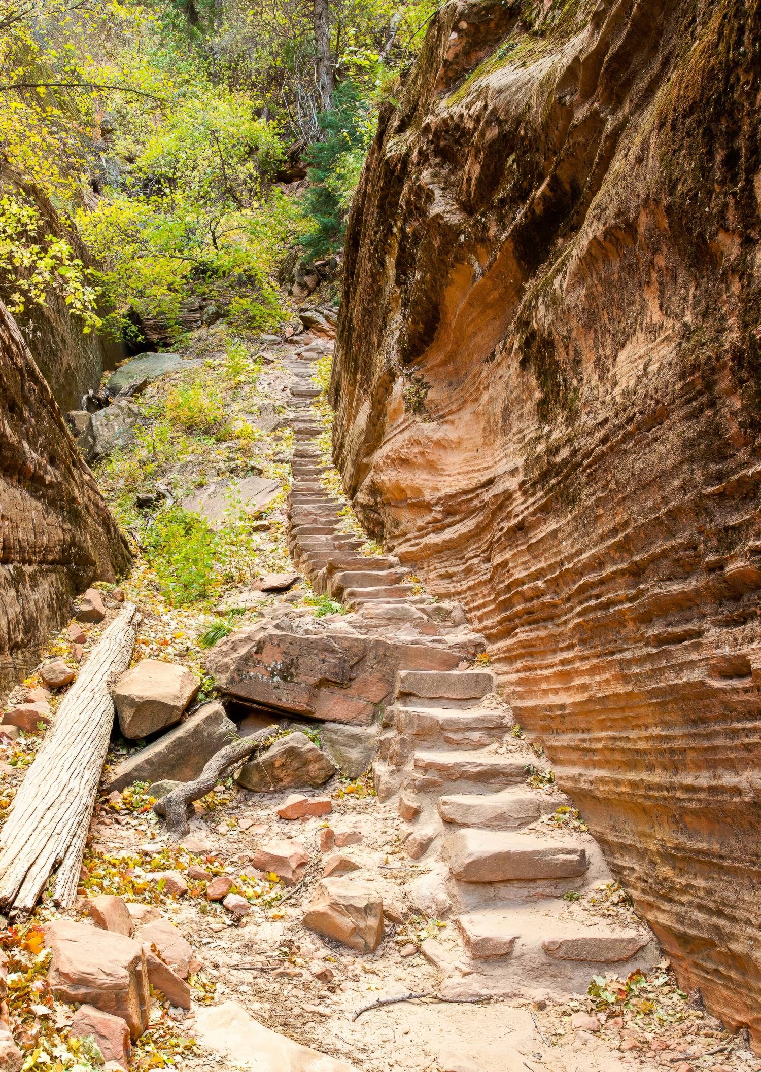 "I Thought It Would Never Happen": Visitors Rejoice As Iconic Zion ...