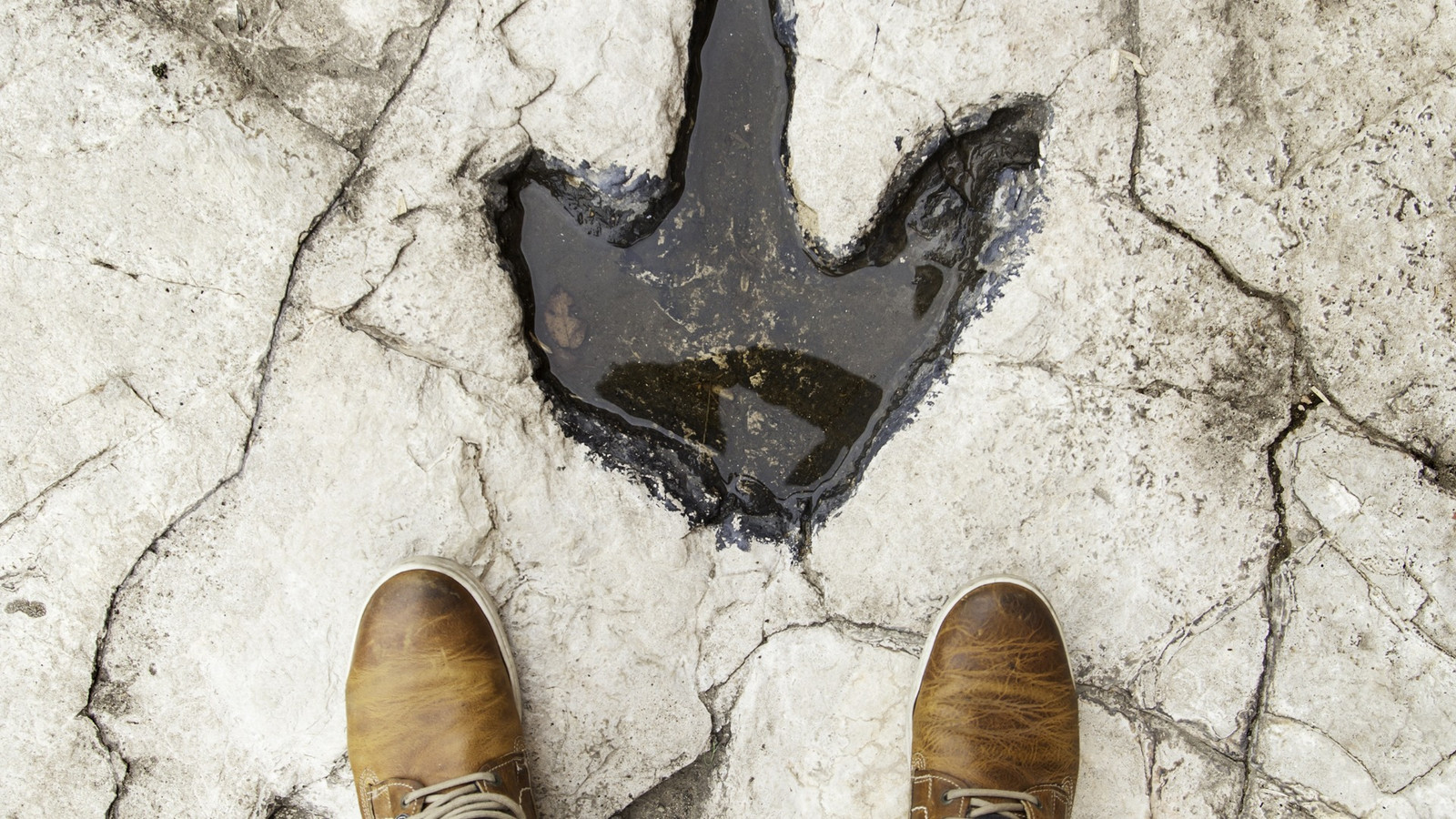 The NPS Intervenes At Beloved National Military Park Over Missing ...