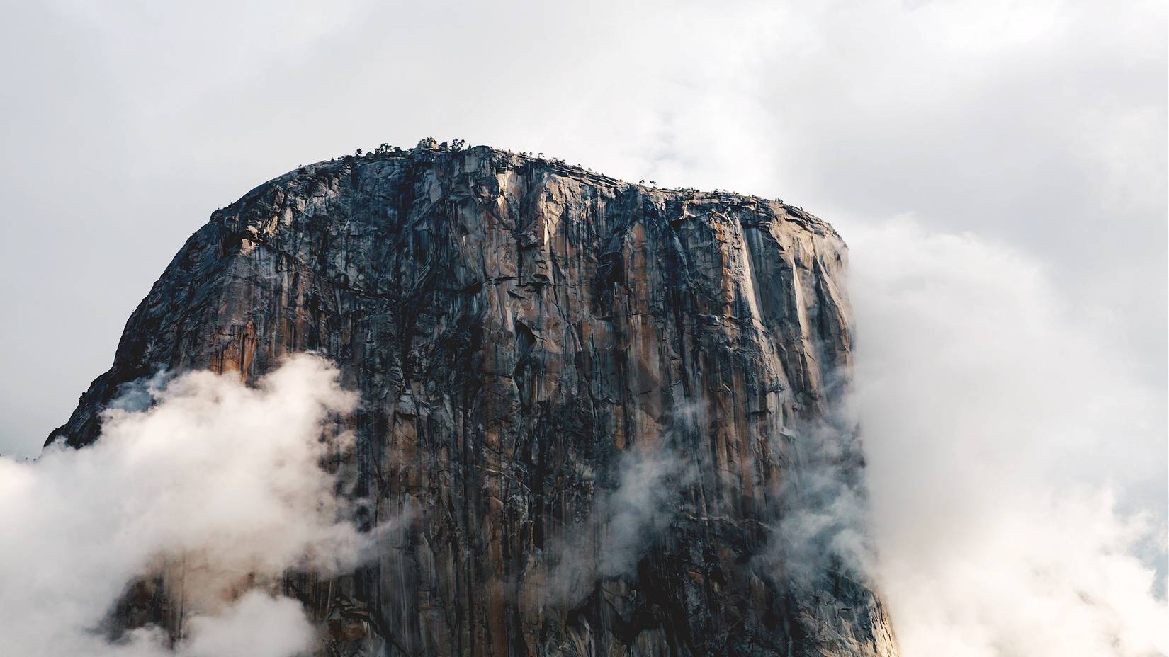 National Park Rangers Panic As Yosemite Becomes A Lawless Playground ...