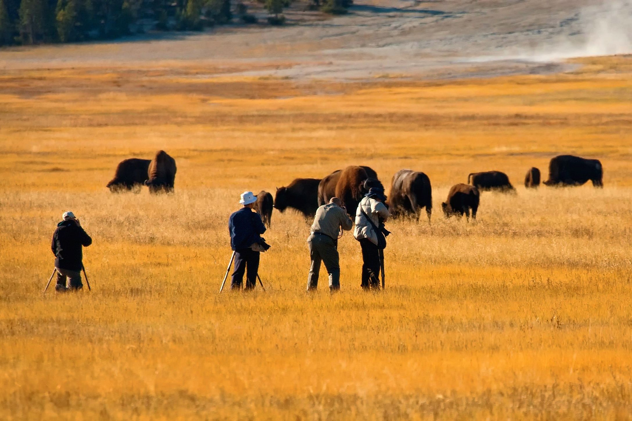 Extremely Rare & Unusual Viking Discovery Has Revealed The World's ...