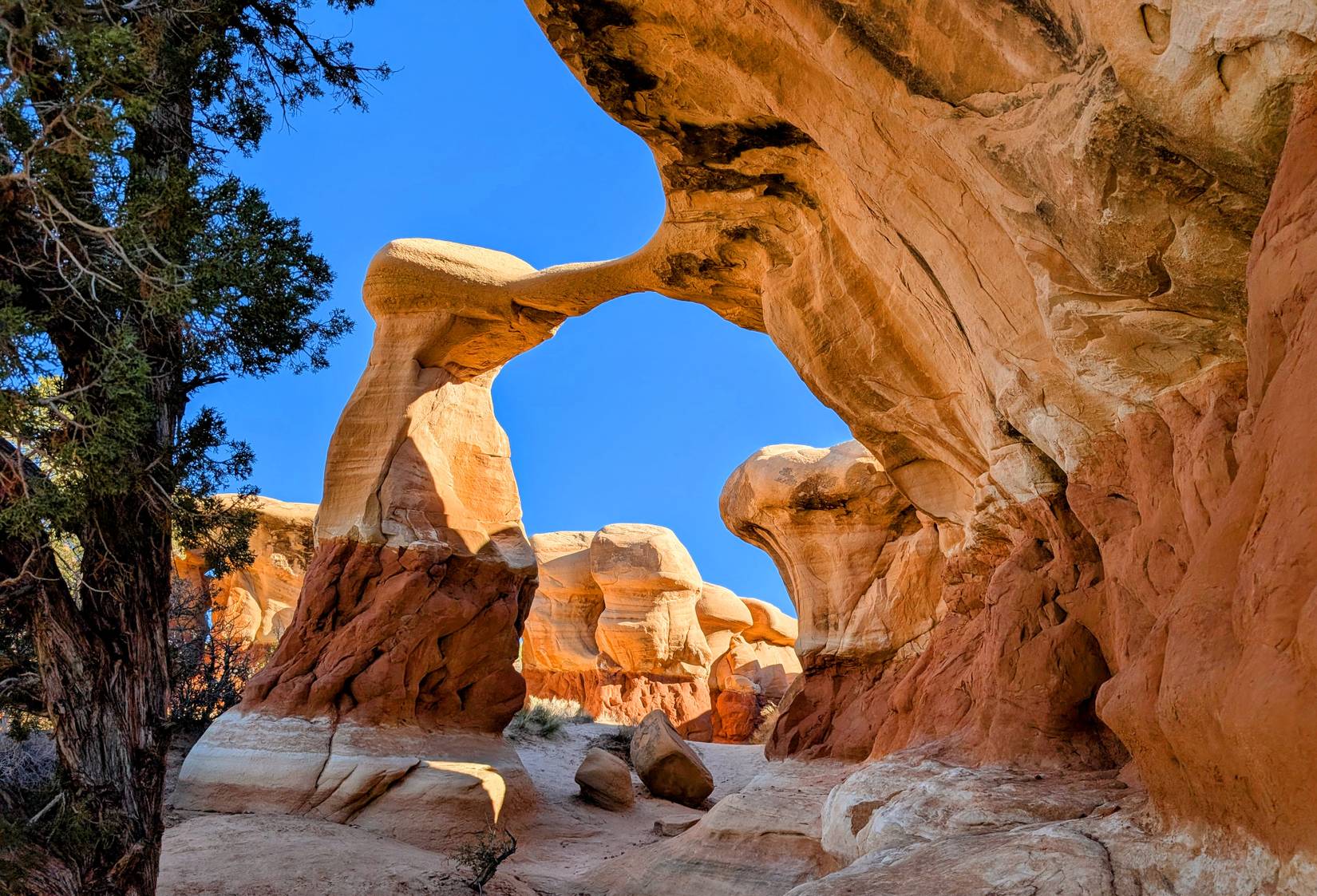 Forget The Scenic Drives In Arches And Zion: "The Loneliest Road In ...