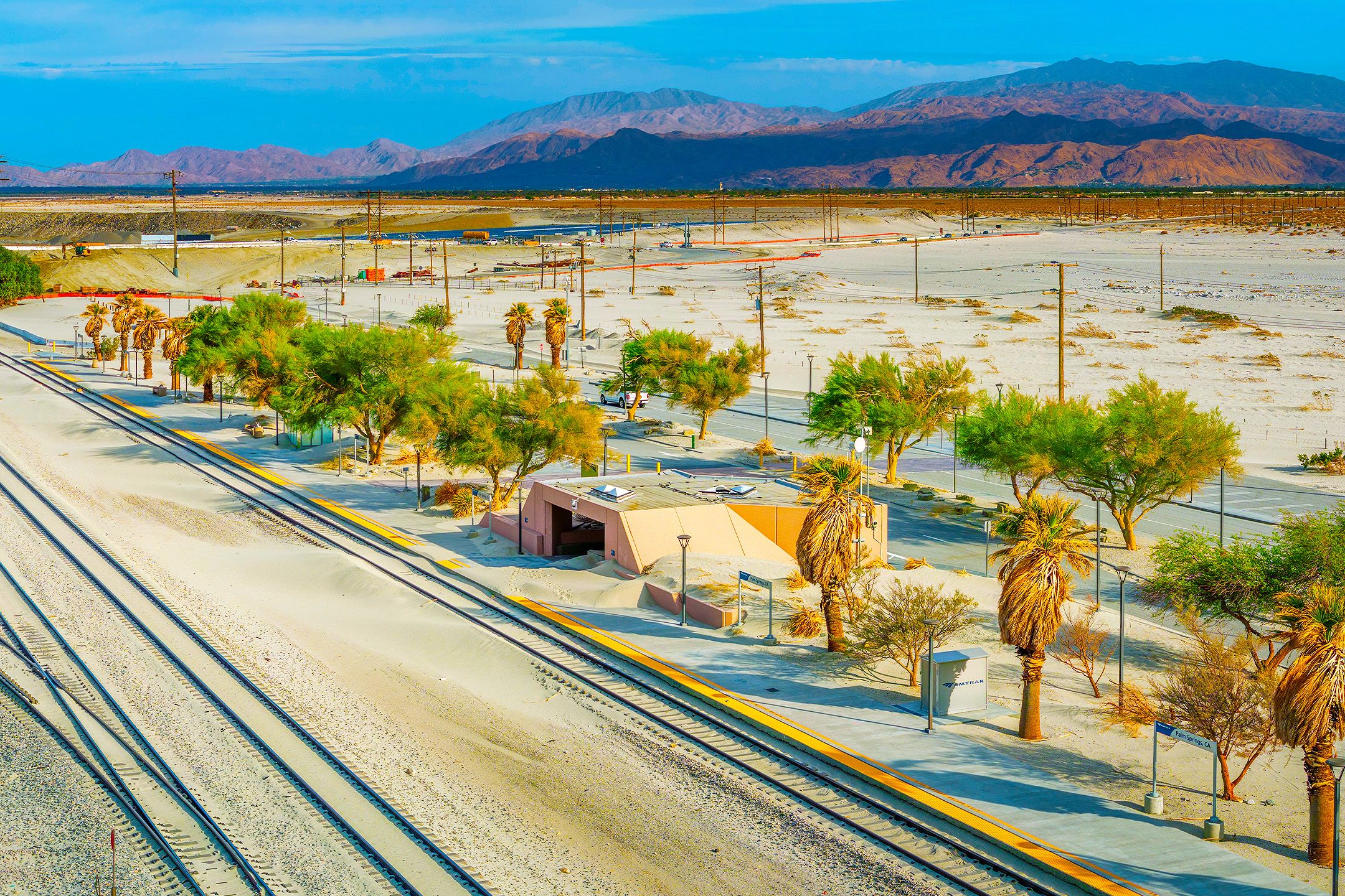Meet Methuselah: The World's Oldest Tree In California's Ancient ...
