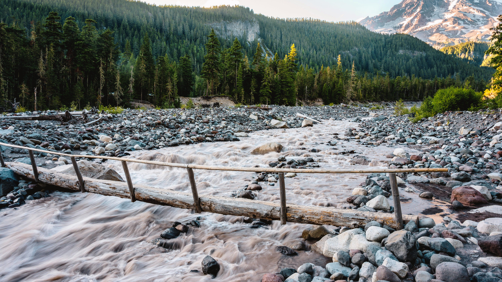 Mount Rainier National Park Implements New Ban Following Severe ...