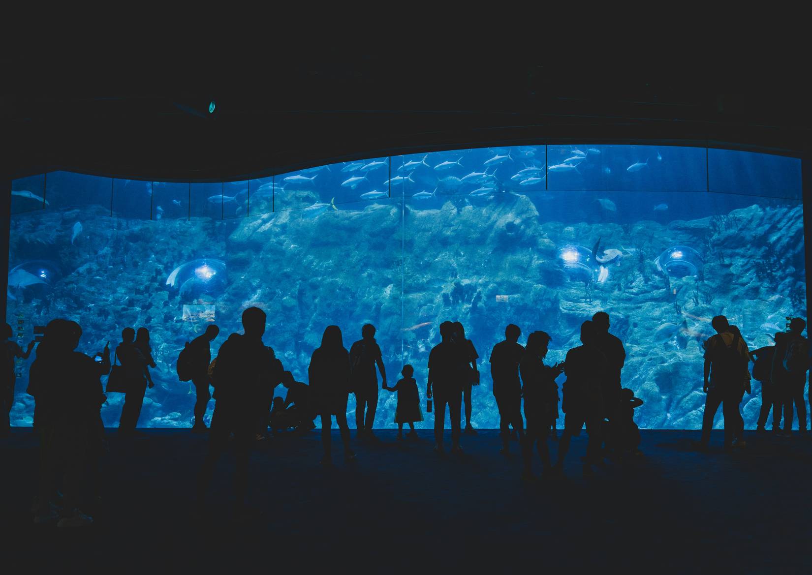 SeaWorld's Latest Ban Rule Faces Backlash From Visitors Who Say It ...