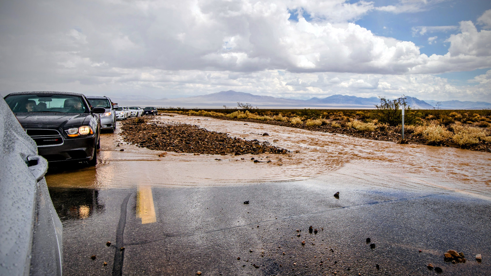 "And The Hits Just Keep Coming": One Southwest National Park Finds ...