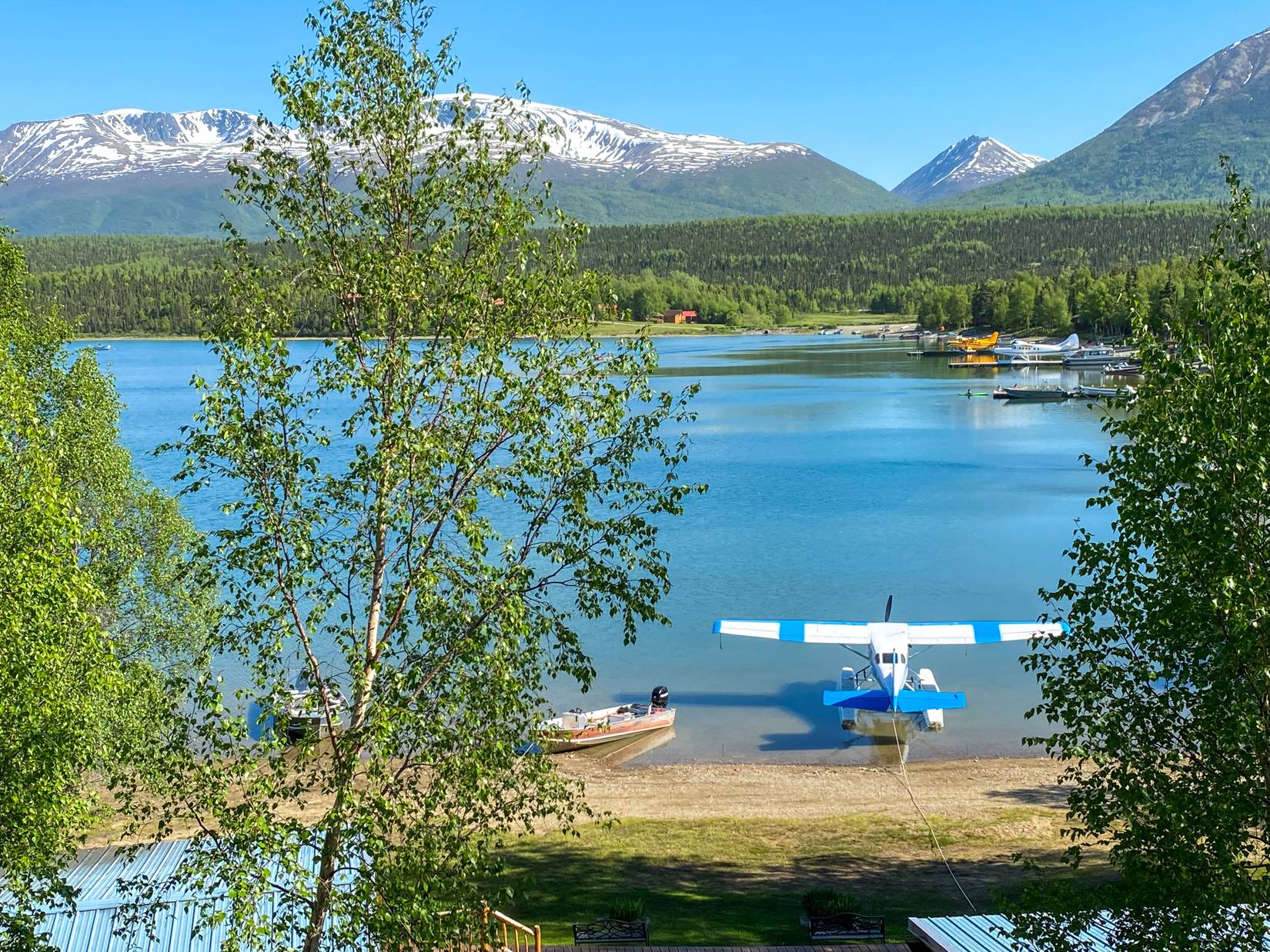 Lucrative Gold Mine Threatens This National Park's "Charismatic ...