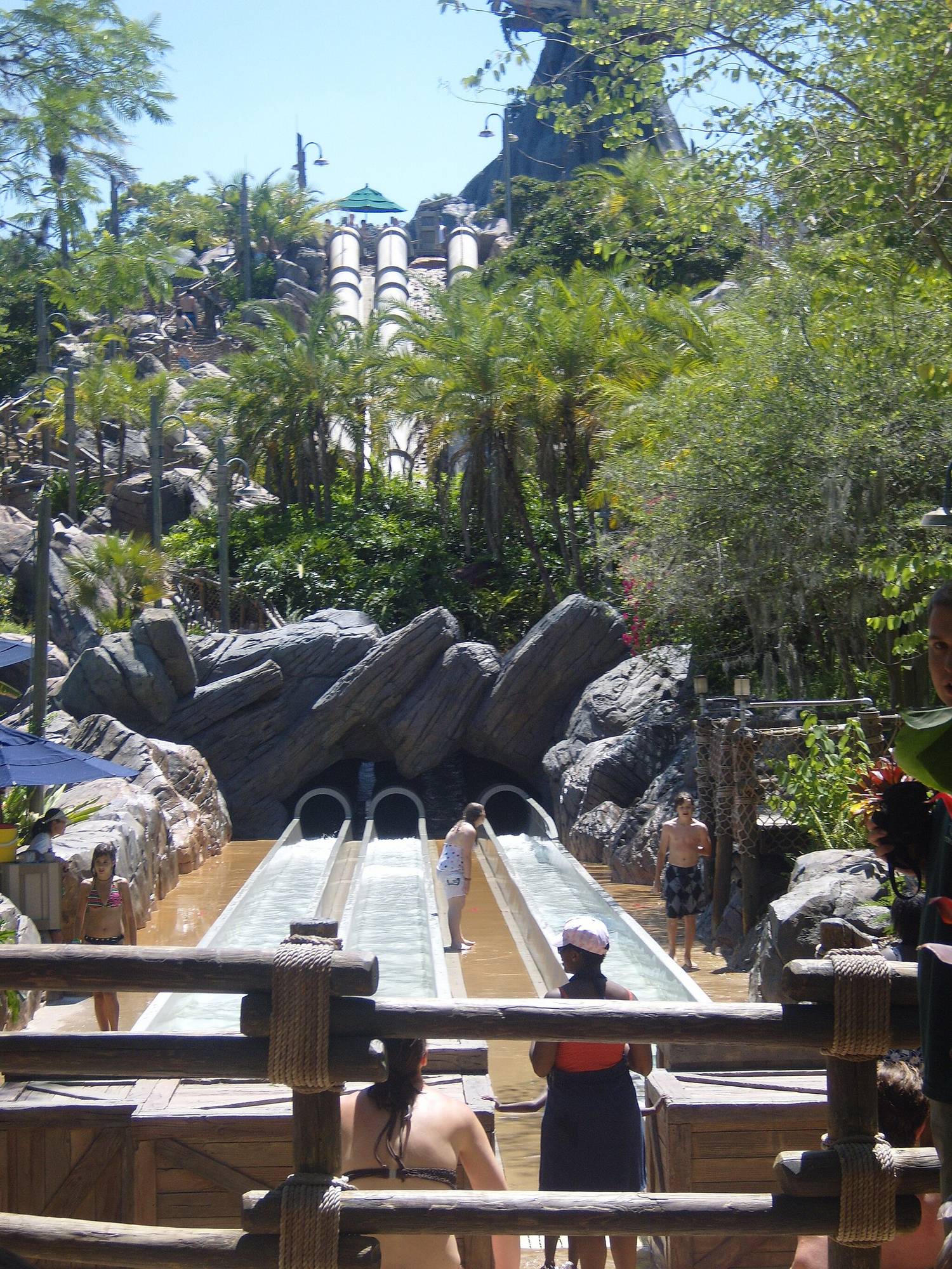 Disney World Closure Rumors Trouble Travelers Ahead Of New Year's Due ...