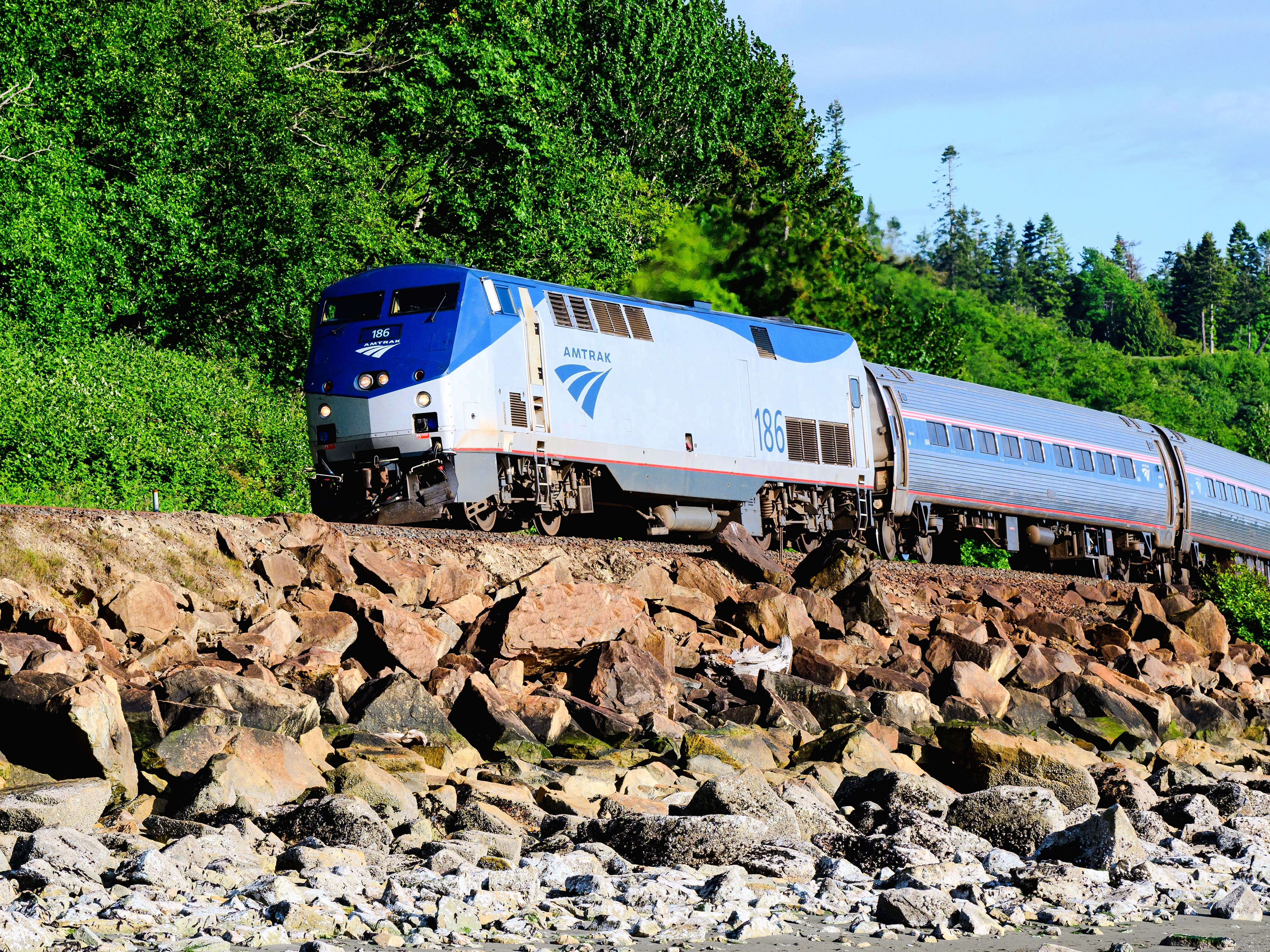 Pandemics Of The Past: 7 Ancient Plagues That Changed The World & Where ...