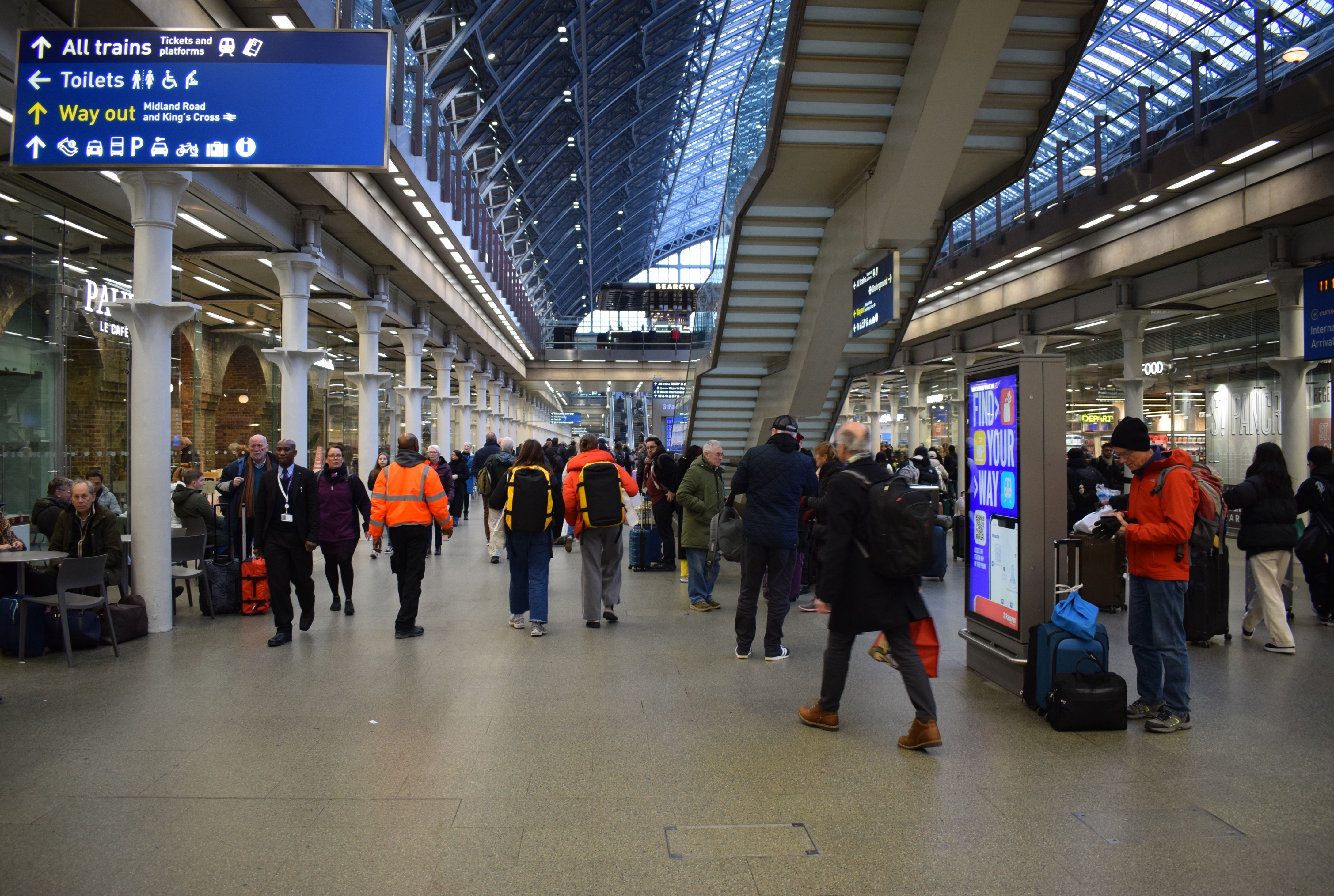 10 Animals That Could Become Extinct In 2025