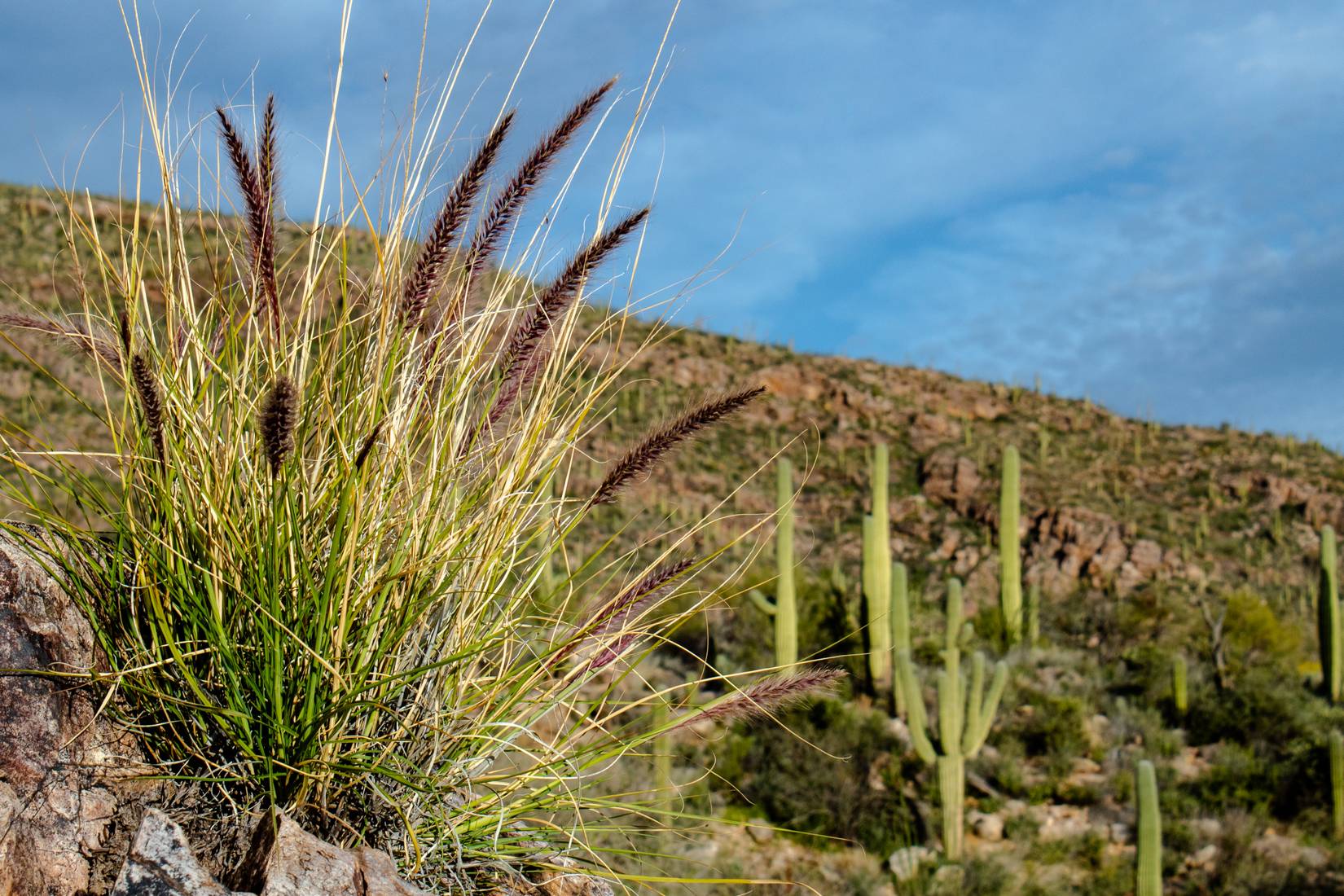 Arizona's Most Underrated National Park Just Made A Tiny Change With A ...