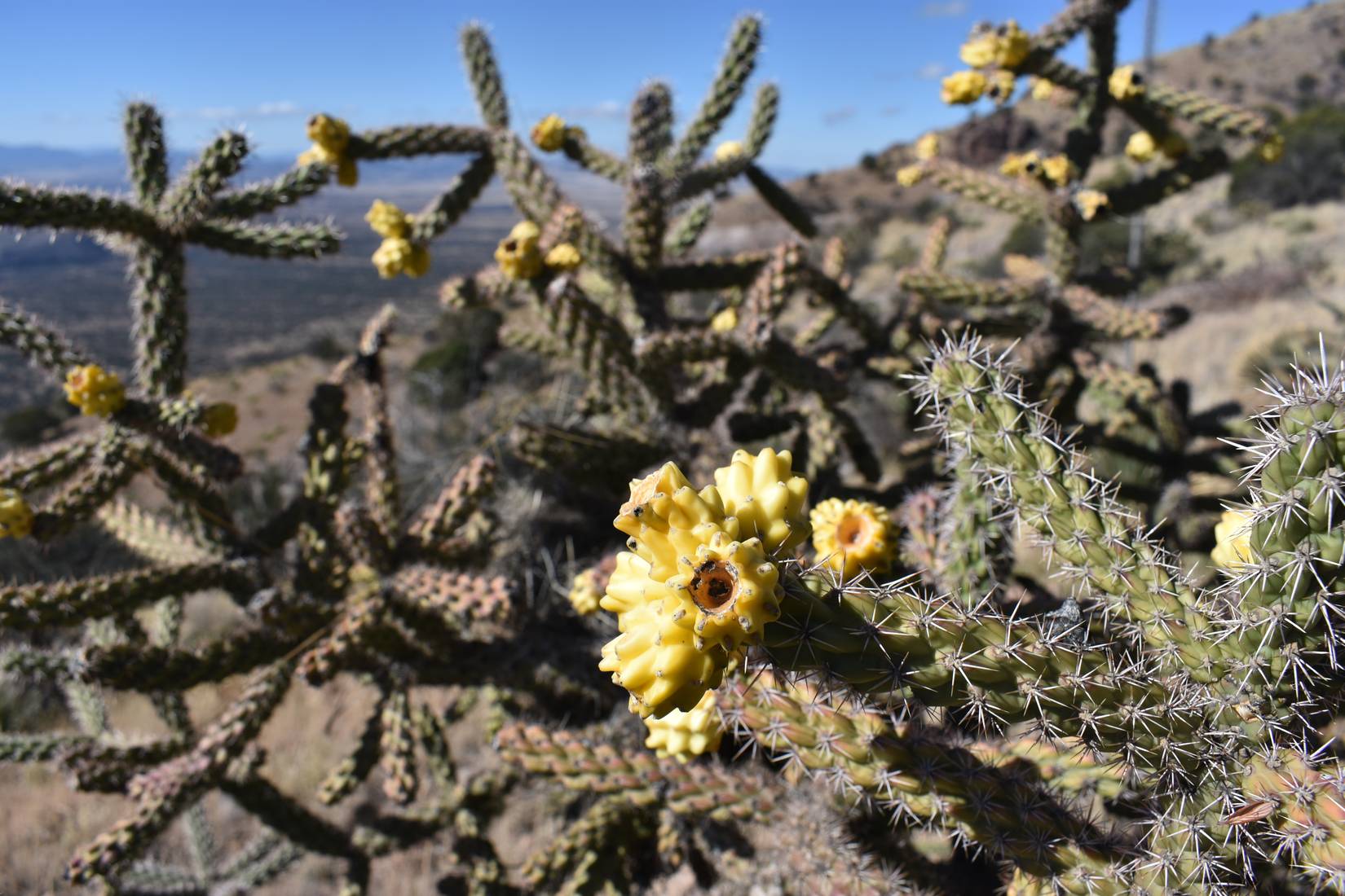 U.S. Government Endures Harsh Words After Blasting National Park Land ...