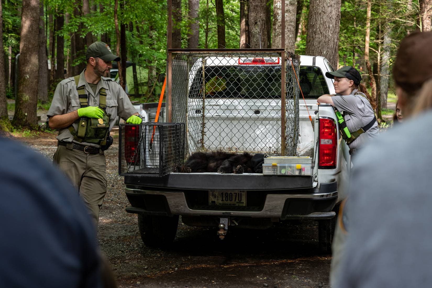 “A Violation Of Federal Law”: National Park Service Orders ...