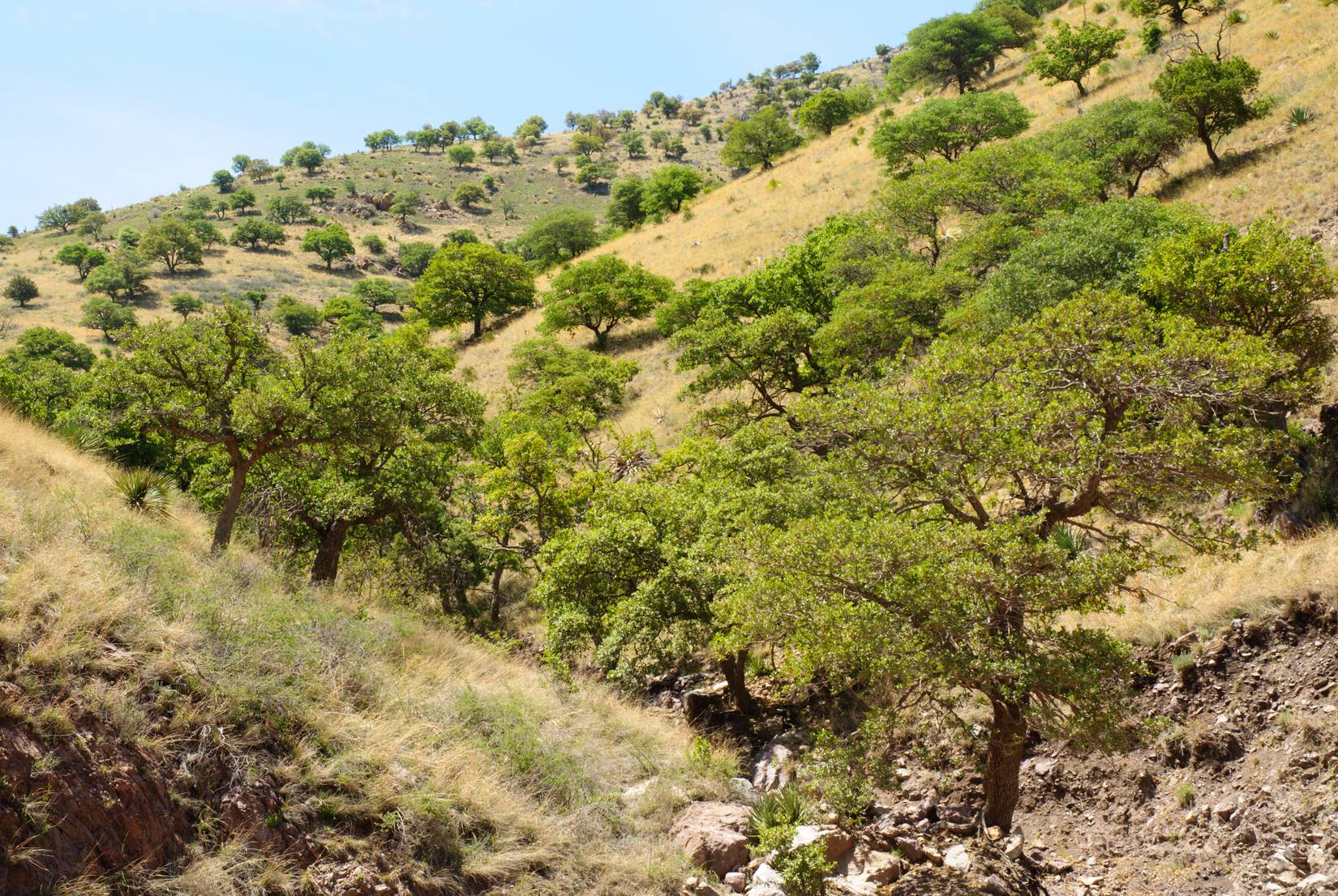 U.S. Government Endures Harsh Words After Blasting National Park Land ...