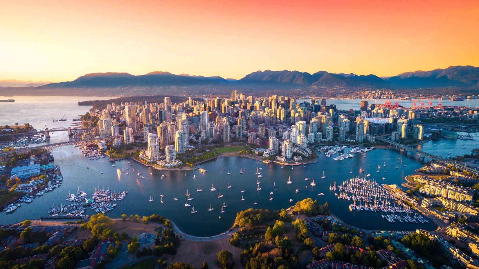 Air Canada Releases Satisfying Statement After Passenger's Sneaky Money ...