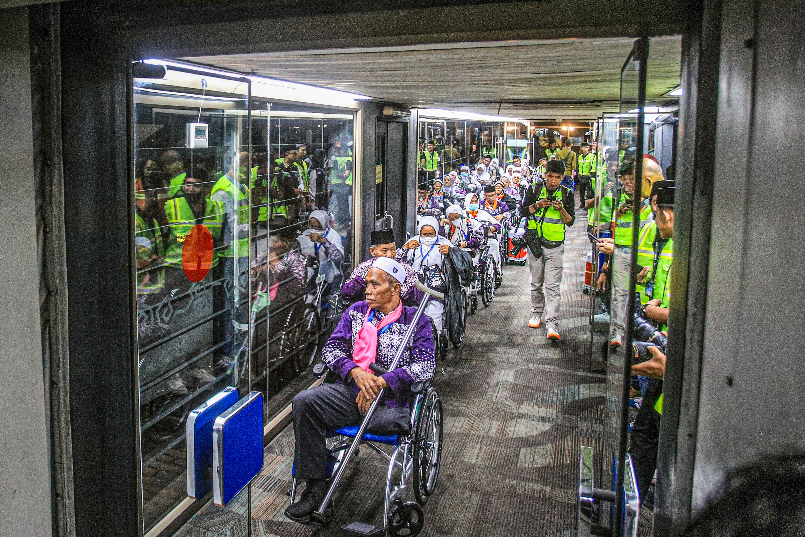 Why The Rarest Ever Puma Cub Shocked The World When She Was Born