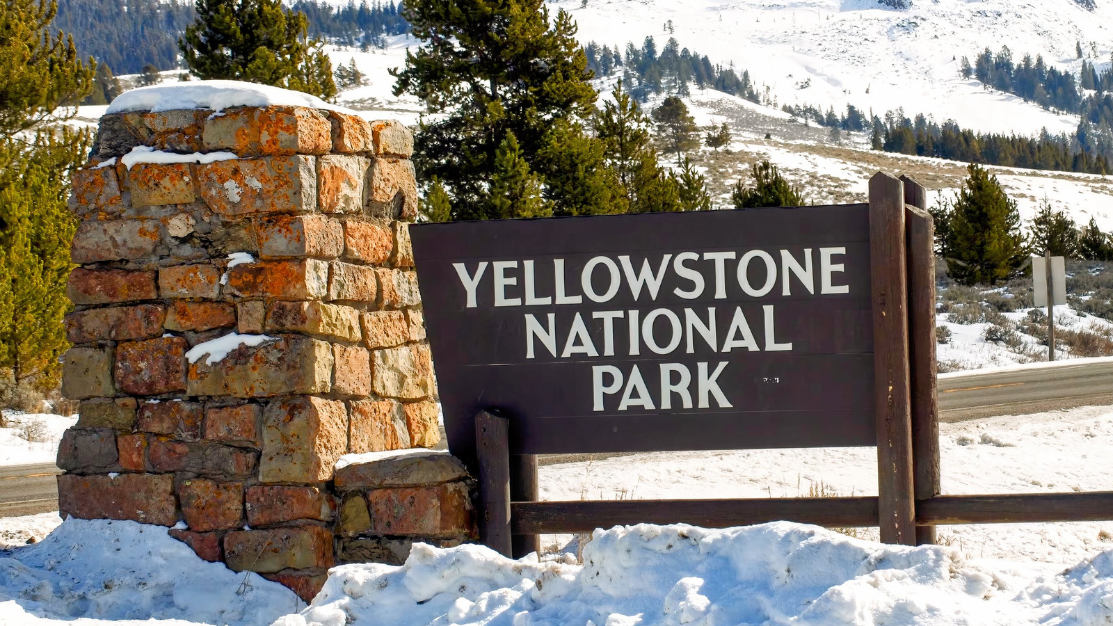 Yellowstone National Park Is Quietly Struggling This Winter: Beloved ...