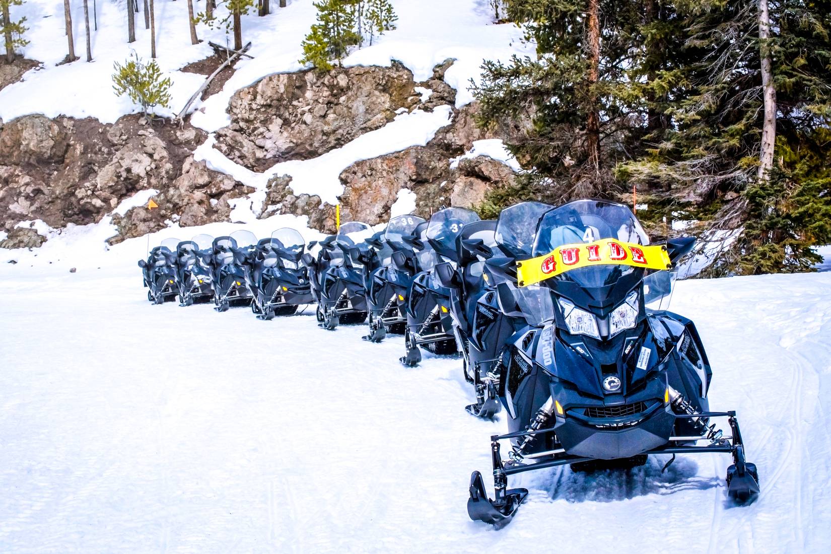 Yellowstone National Park Is Quietly Struggling This Winter: Beloved ...