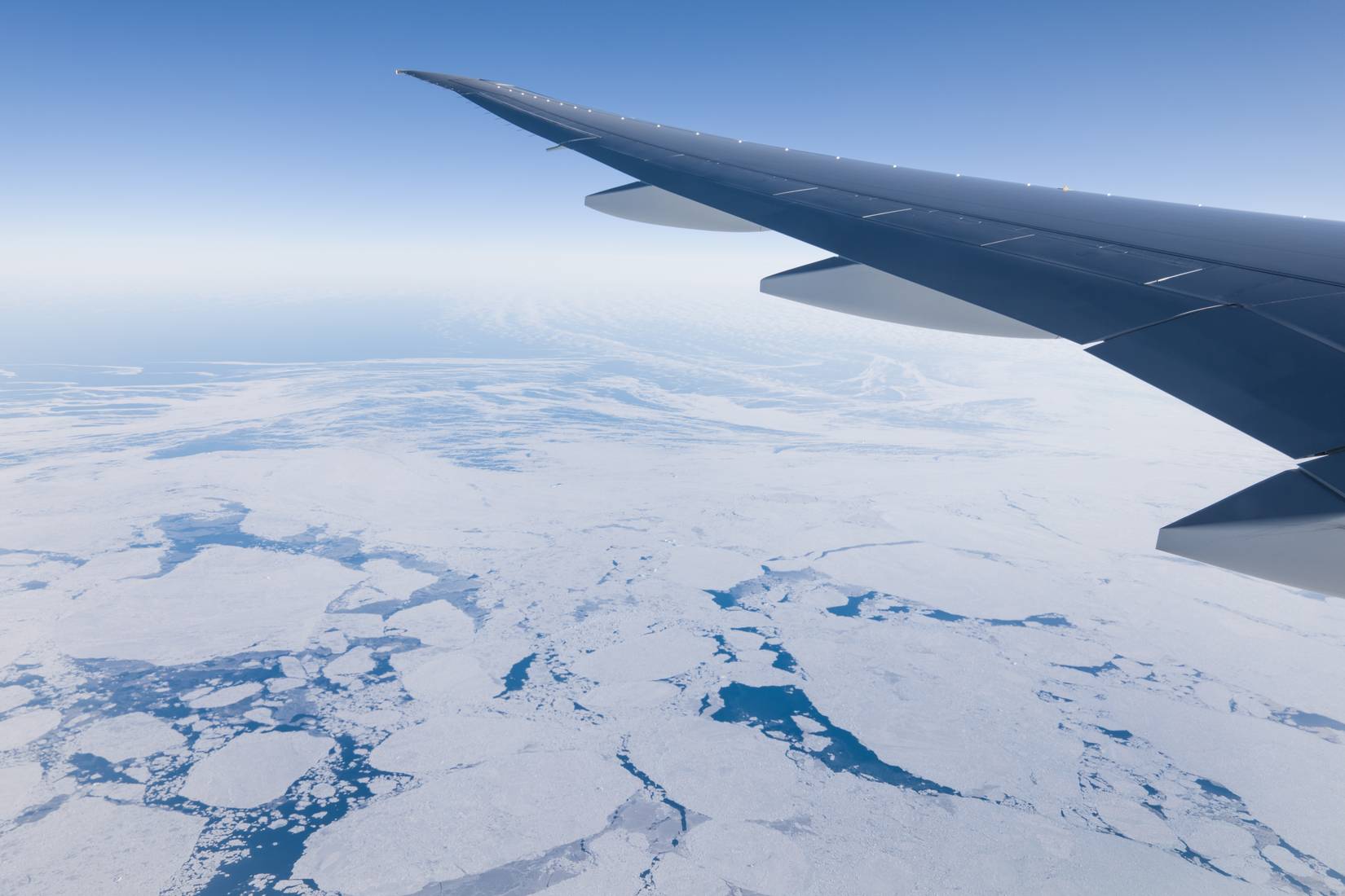 "We Need To Go Back": Delta Air Lines Responds Over "Very Rare ...