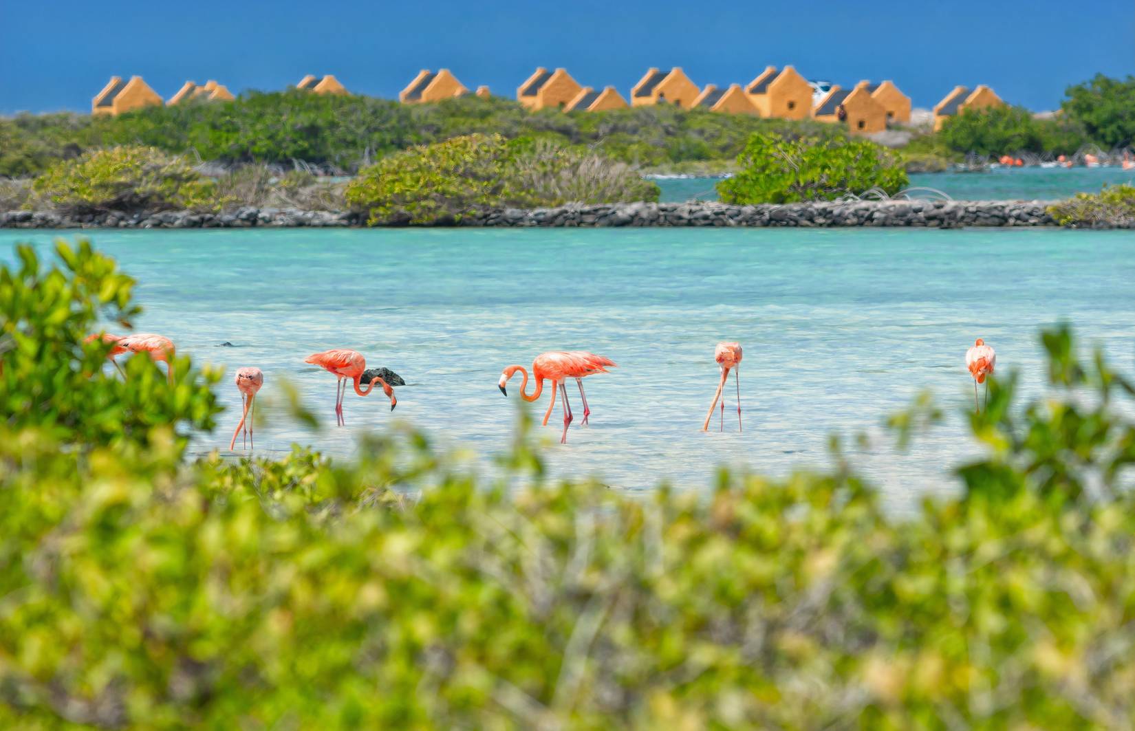 Why Royal Caribbean's Most Underrated Caribbean Cruise Port Needs To Be ...