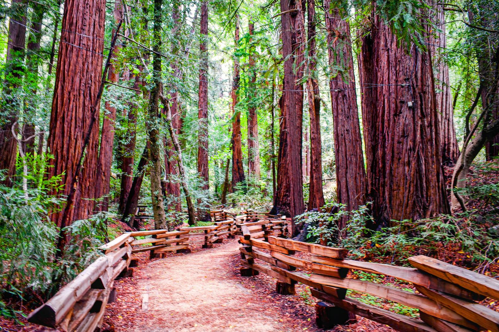 Americans Applaud One State's Defiance Of U.S. Government's New ...