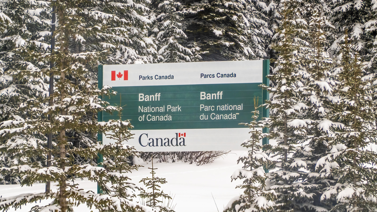 Banff National Park Issues Carnivore Warning And Shuts Down Entire Location