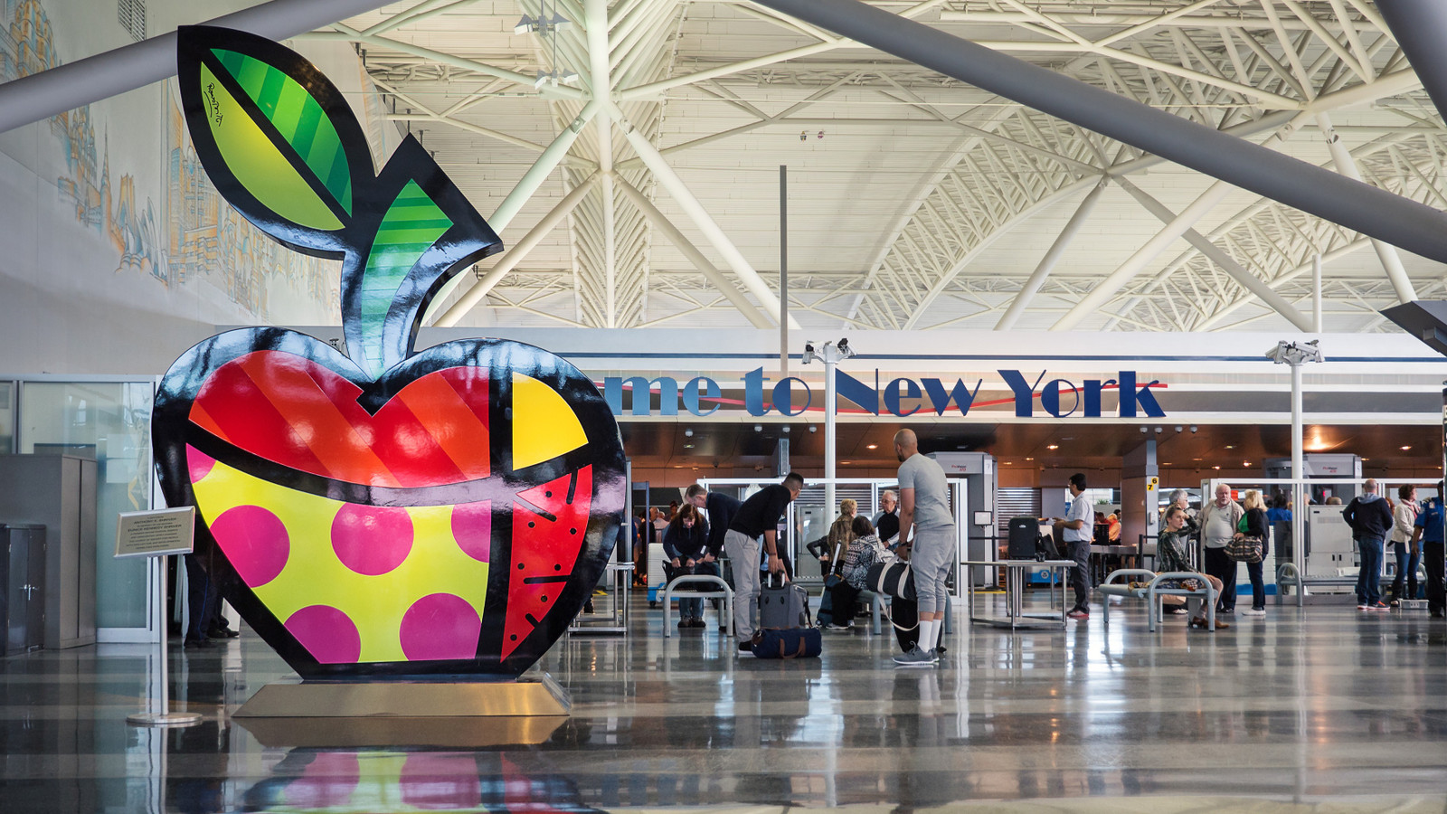 U.S.-Bound Flight Sparks Birthright Citizenship Debates After Plane ...