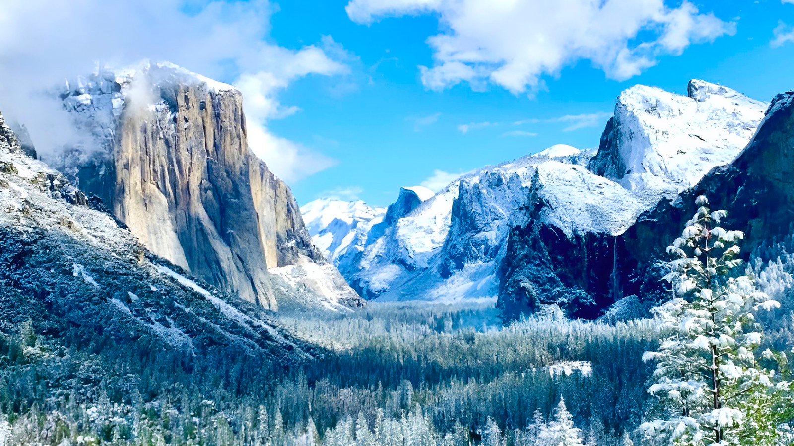 Yosemite National Park's Quiet Wintertime Ban: How This Rule Makes Cold ...