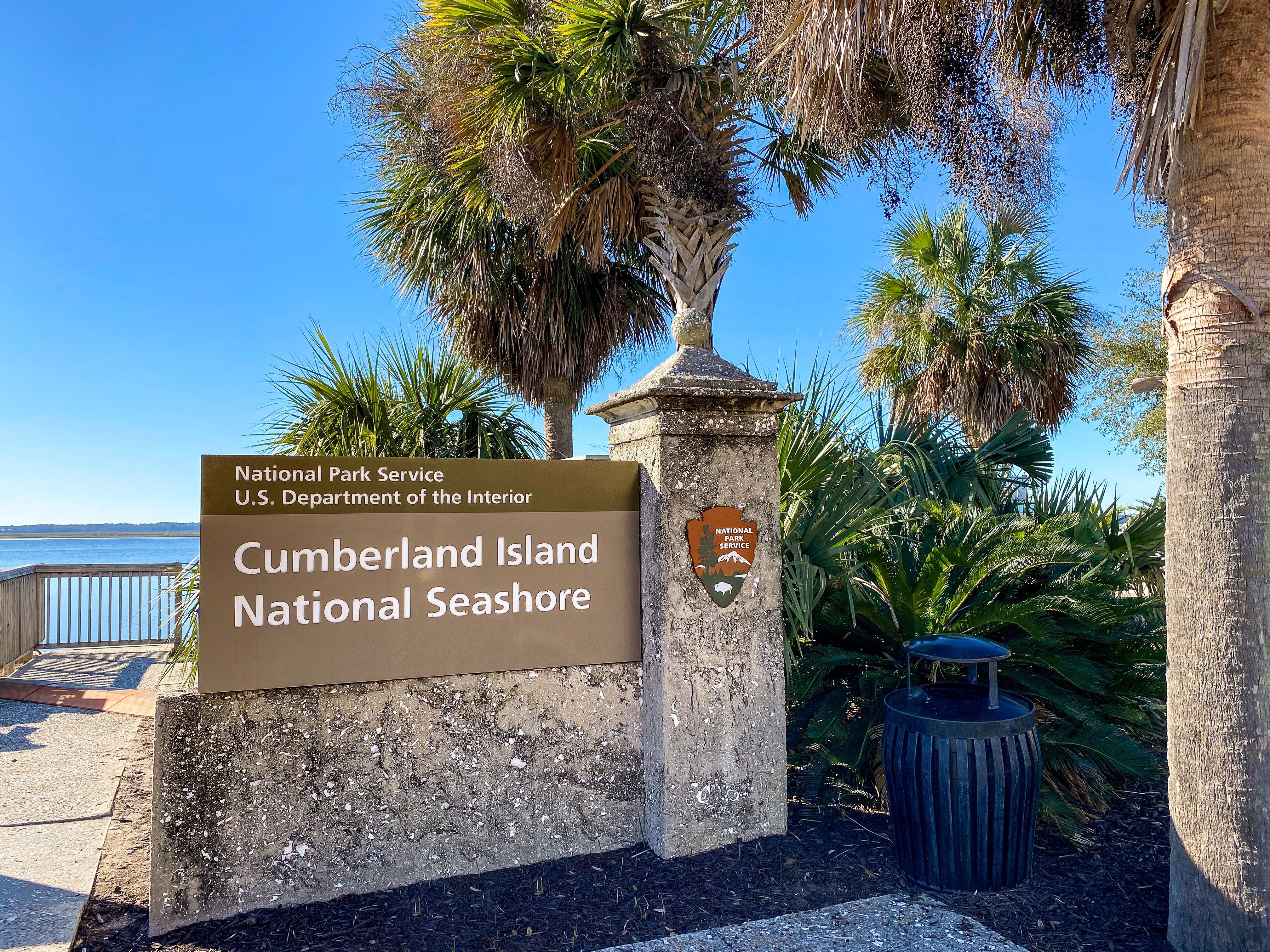 This Florida State Park Is Home To An Invasive Colony Of Macaque Monkeys