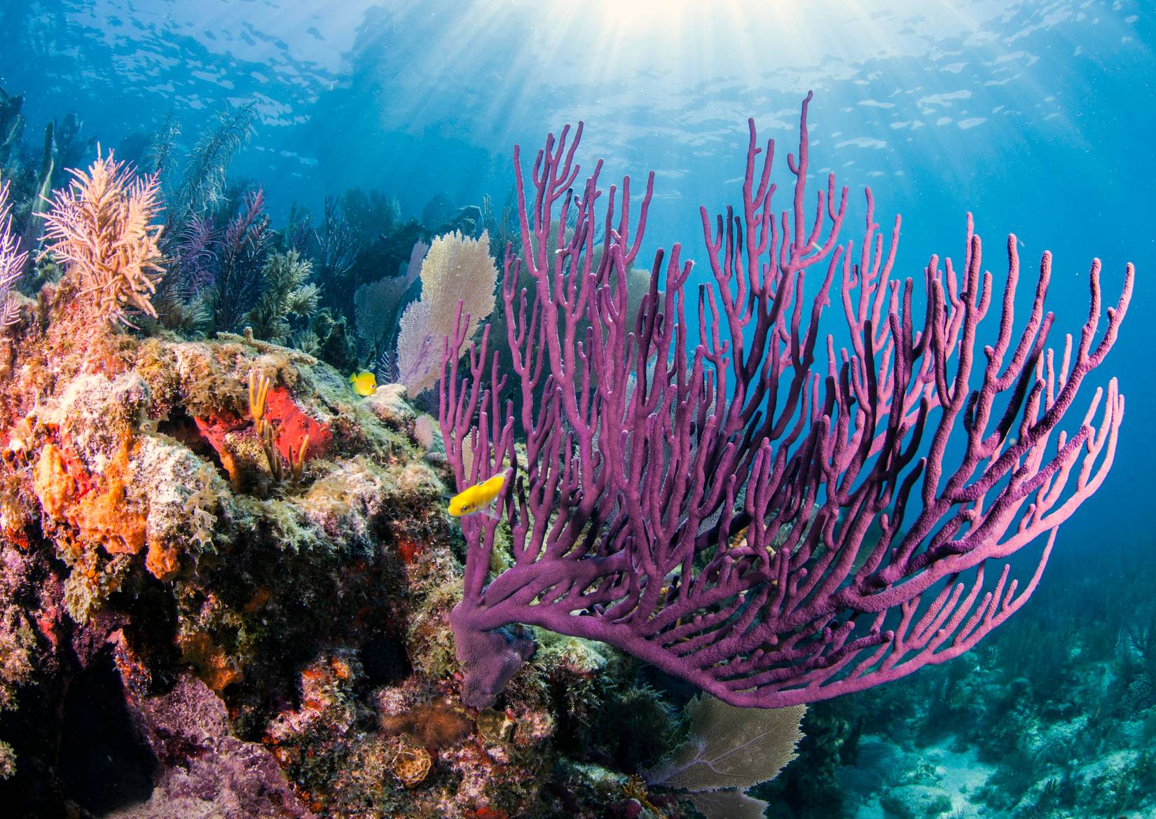 This Historic State Park Is One Of The Few Places In The U.S. Where You ...