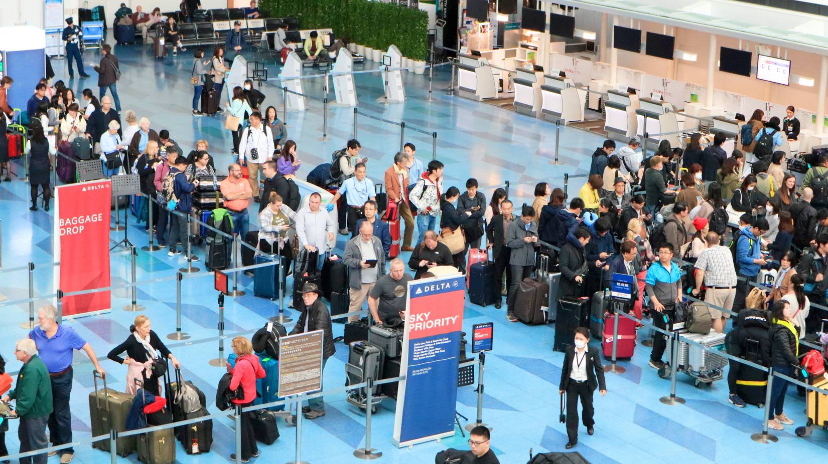 Delta Air Lines Follows The U.S. Government And Abandons Major Climate ...