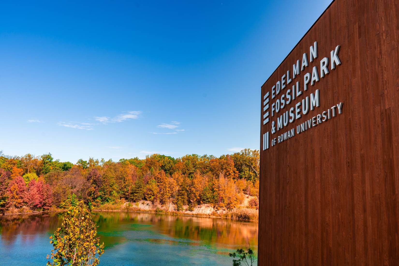 We Visited One Of America’s Only Public Fossil Quarries East Of The ...
