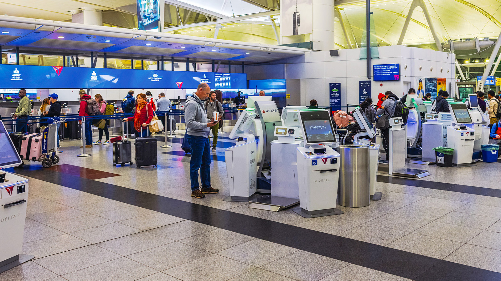 Delta's Free Carry-On For Basic Economy Is Designed So You'll Almost ...