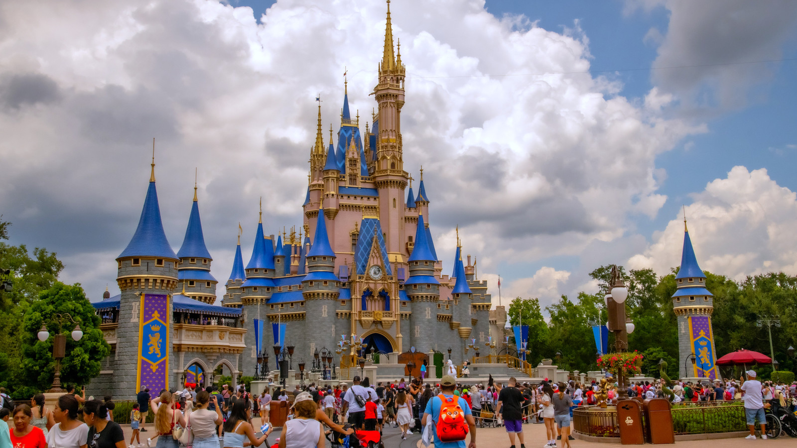 Disney World Alligator Warning Issued For At Least Three Different ...