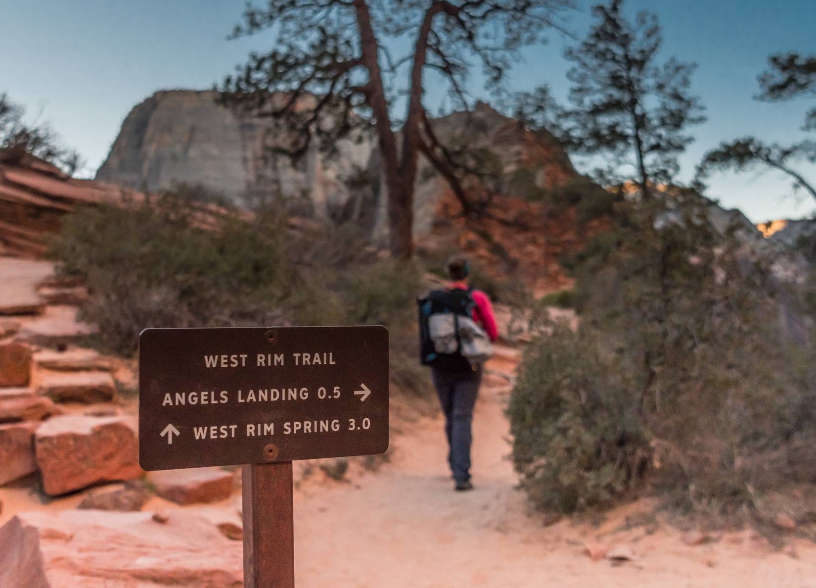 Zion National Park Rangers Abruptly Order Visitors Off Trails After ...