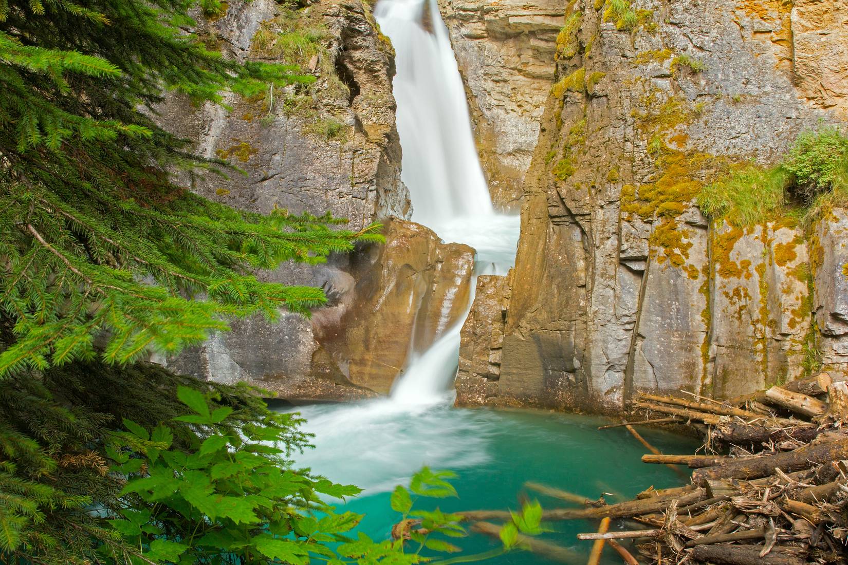 U.S. Tourist Dies At Banff National Park After Crossing Barriers And ...