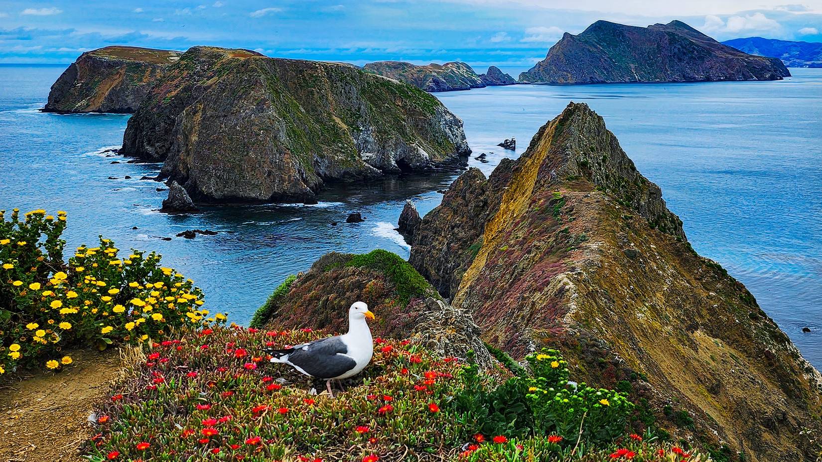 California National Park Faces Closures Over Memorial Day Weekend After ...
