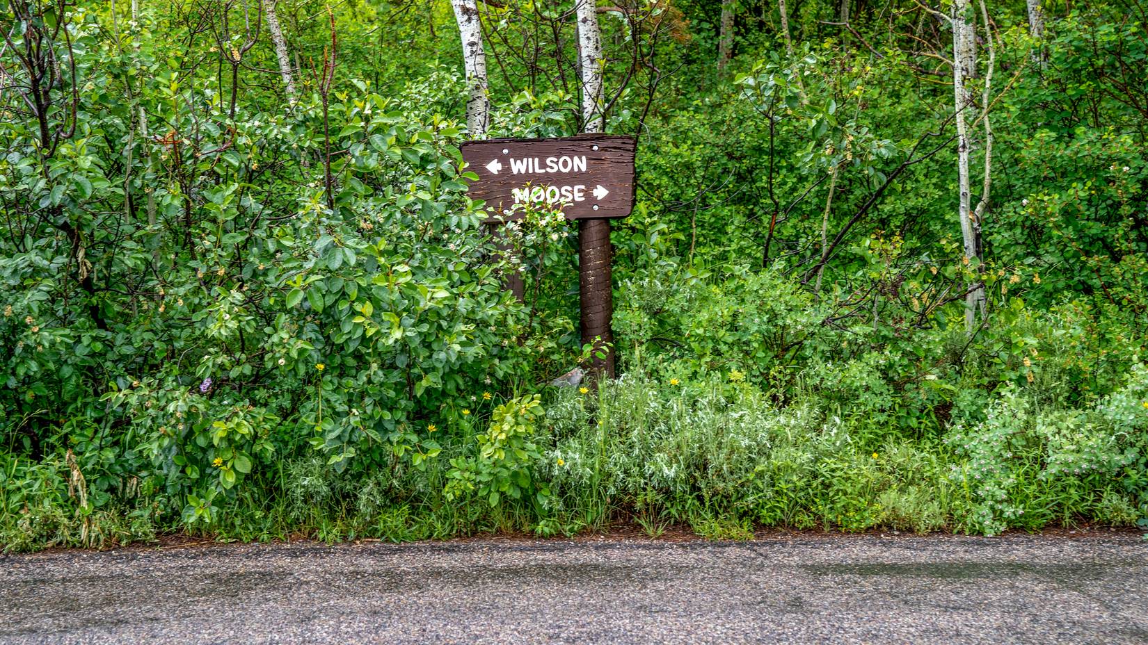 Grand Teton National Park Issues Visitor Warning For One Of The Busiest ...