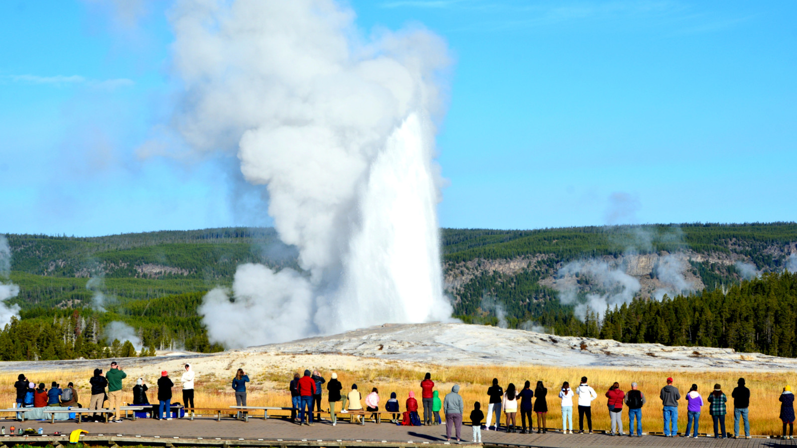 "We Were About To See Someone Die": Yellowstone National Park Tourist ...